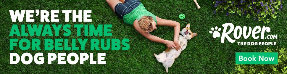 Meet The Dog People: Announcing Rover's Exciting New Ad Campaign [Video ...