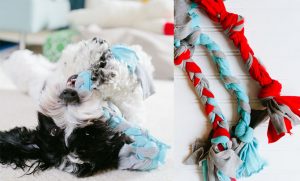 Easy DIY Dog Toy: The Braid | The Dog People by Rover.com