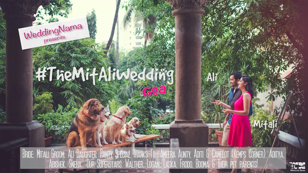 Couple Includes Dog in Dreamy Traditional Indian Wedding | The Rover Blog