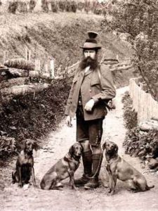 13 Things You Might Not Know About Vizslas | The Dog People by Rover.com