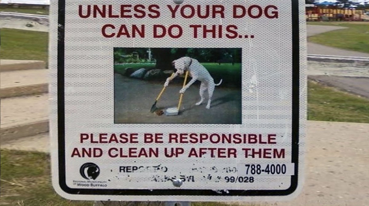 15 Weirdly Awesome Dog Signs That Will Make Any Dog Person Laugh The