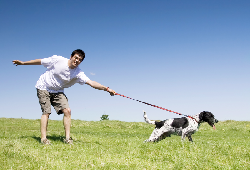 5 Common Dog Training Mistakes And What To Do Instead The Dog People 