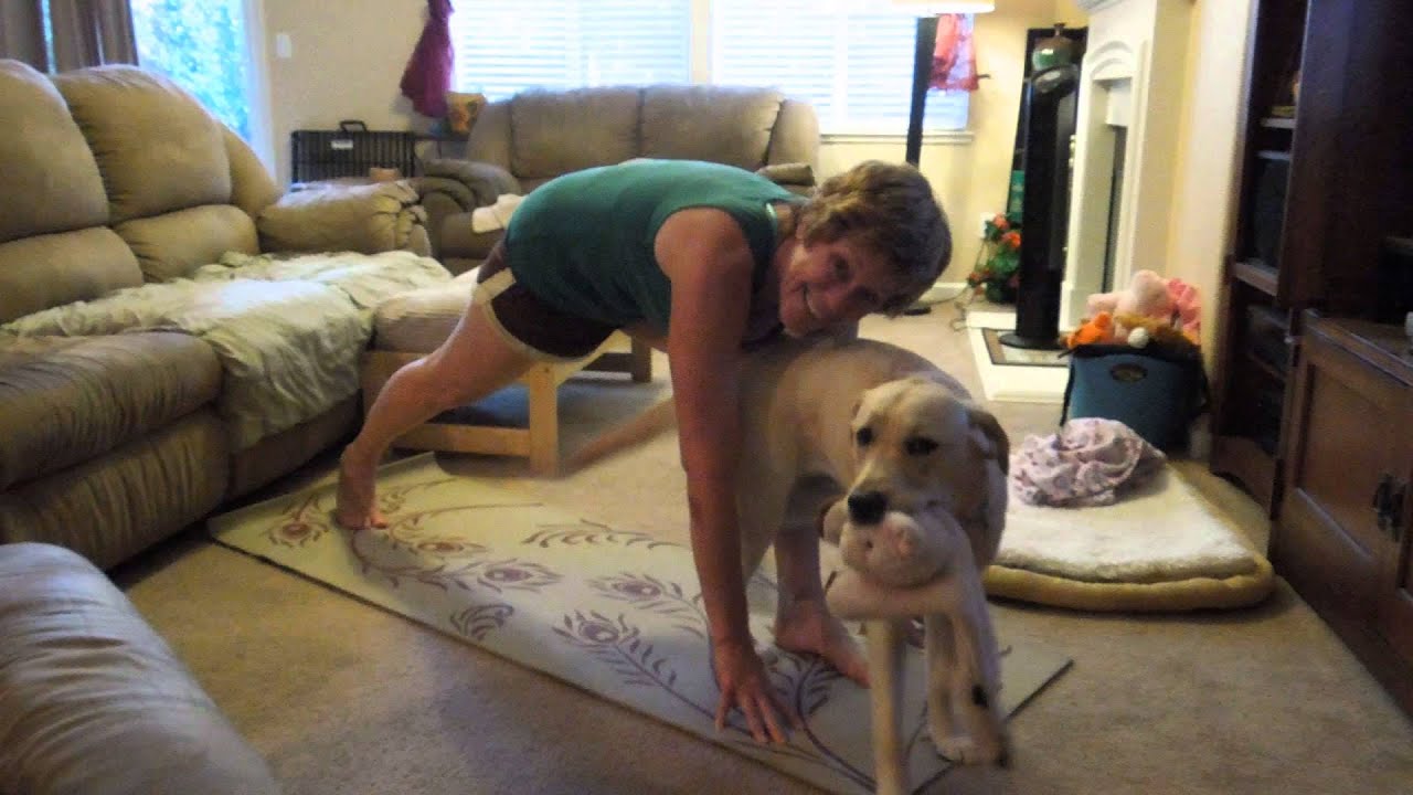 How to Actually Do Yoga with Your Dog | The Dog People by Rover.com