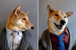 Dog and Owner Halloween Costumes | Dog and Human Costumes