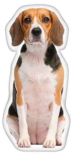 The 8 Best Gifts for Beagle Lovers | The Dog People by Rover.com