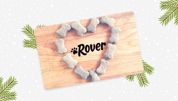 Rover.com | Rover.com is your one-stop shop for loving and trustworthy ...