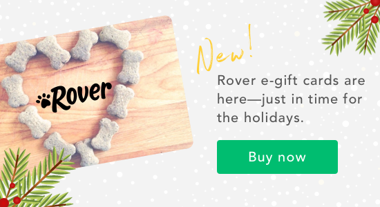 17 Last-Minute Gifts for Dogs and Dog Lovers | The Dog People by Rover.com