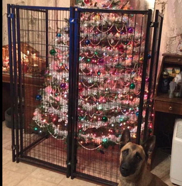 10 Genius Pet Parents Who Figured Out How to Save the Christmas Tree ...