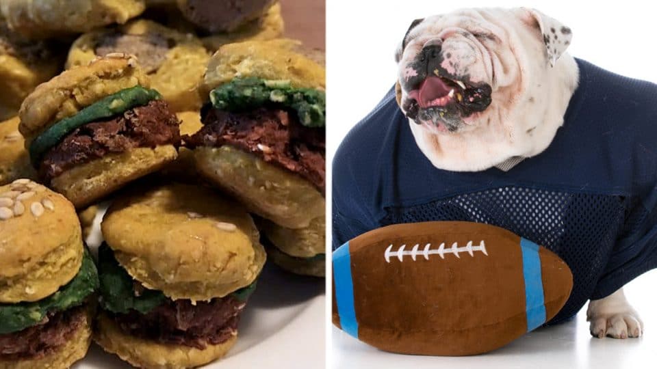 Puppy Bowl Recipes | 5 Puppy-Friendly Snacks Your Dog Will Love
