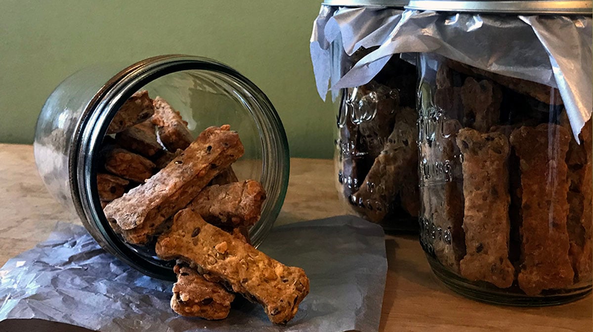 How to Make Cheesy Savory Cheddar Sage Dog Biscuits for Your Fave Snack ...