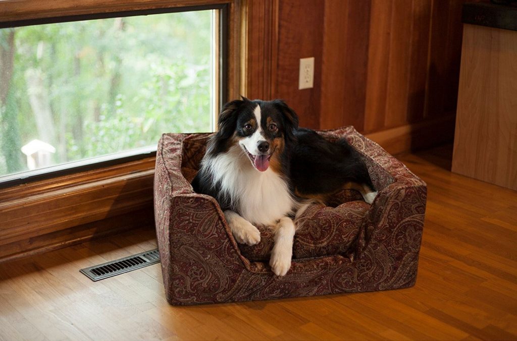 17 Best Luxury Dog Beds for 2019 | The Dog People by Rover.com