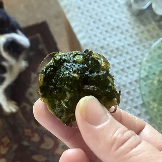 These DIY Mini Egg Puffs Will Power up Your Dog | The Rover Blog