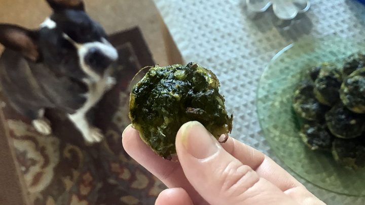 These DIY Mini Egg Puffs Will Power up Your Dog | The Rover Blog
