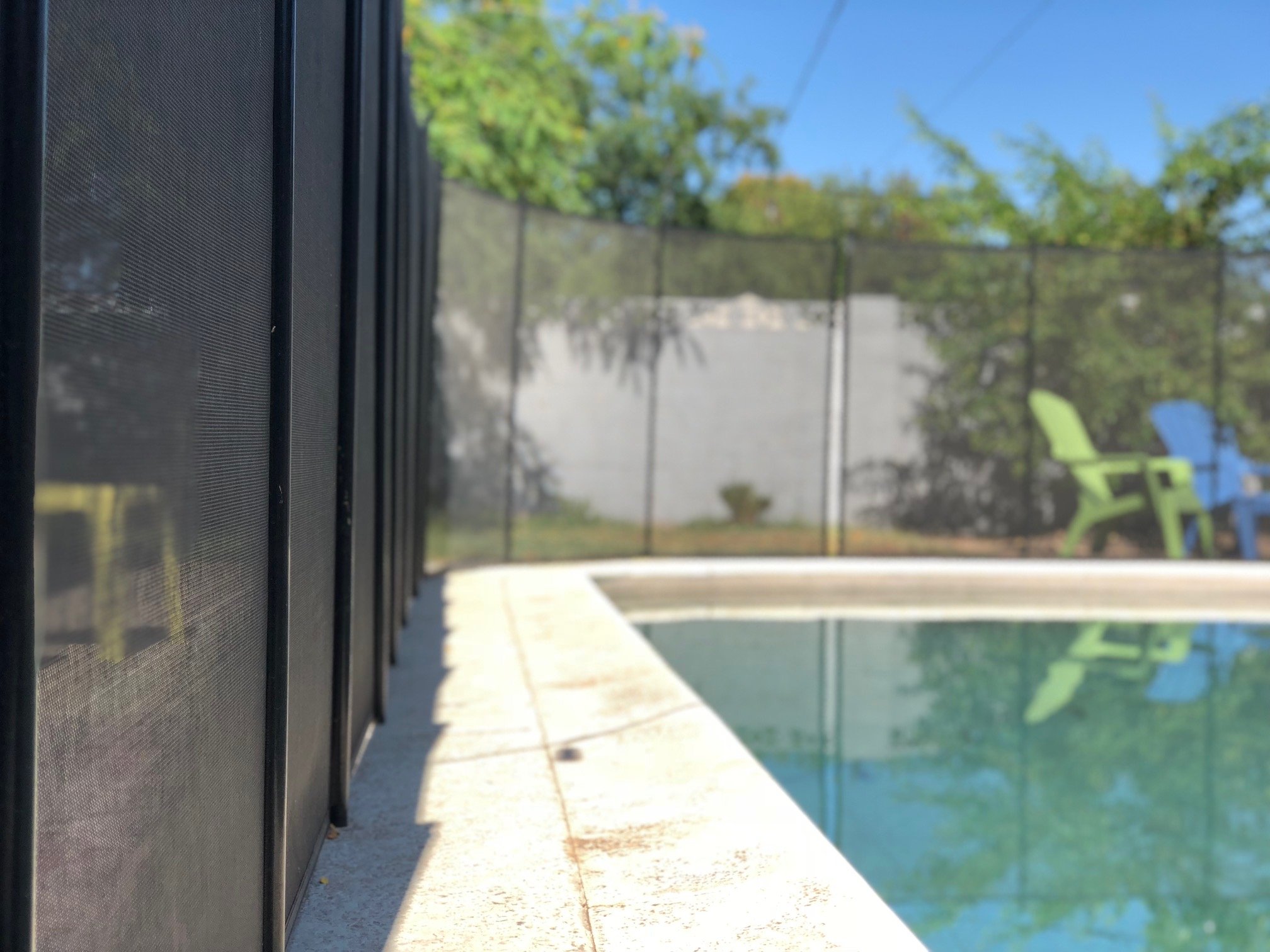 Pool Safety for Dogs | Having Fun With Your Dog in the Pool