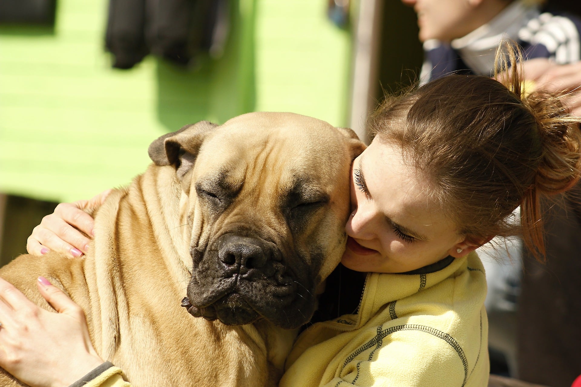 How to Train Your Dog to be a Therapy Dog | Therapy Dog Training