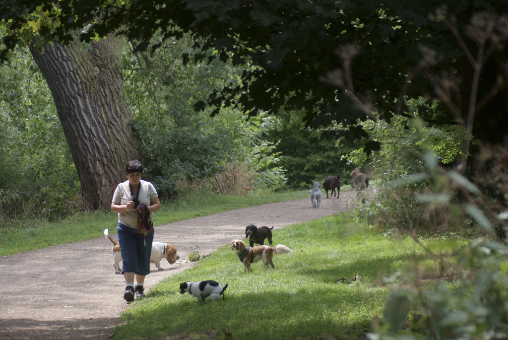 The Top 10 Dog Parks in London | The Rover Blog