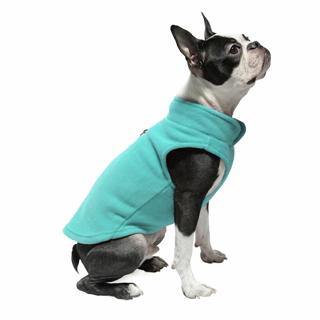 Shih Tzu Clothes and Accessories | Life Jackets, Hair Bows and More