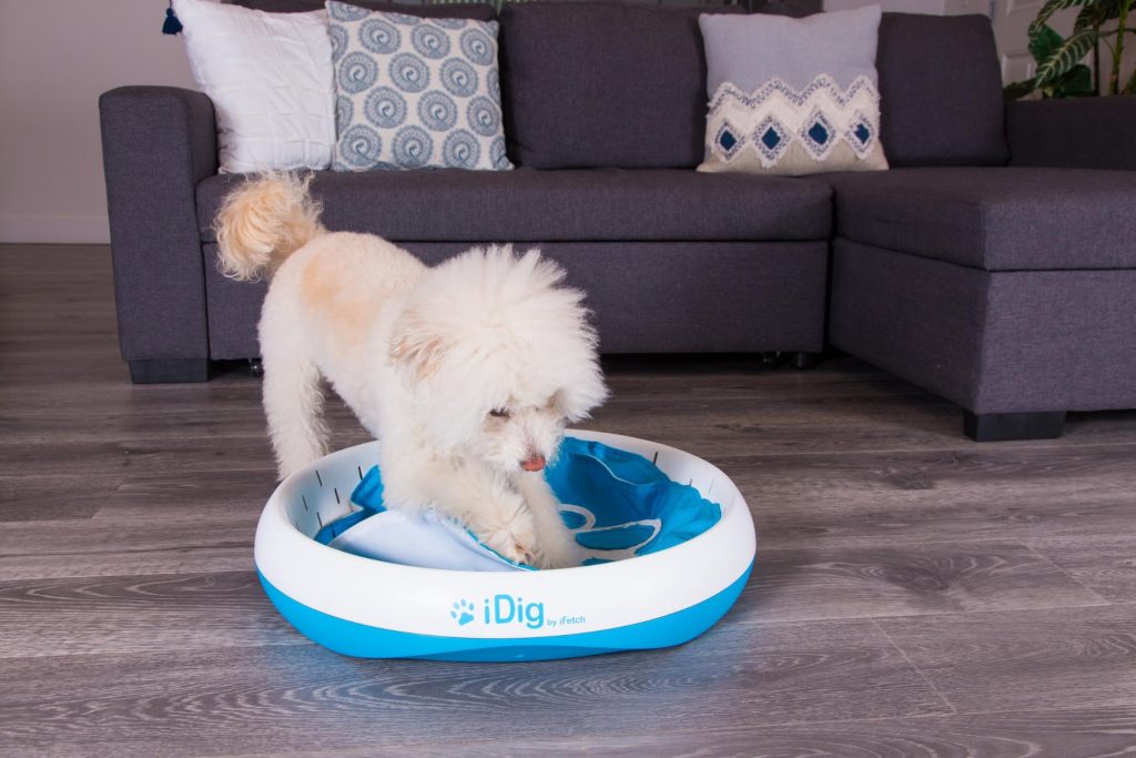 The 8 Hottest New Dog Products Will Make Your Life Easier (and Cuter ...