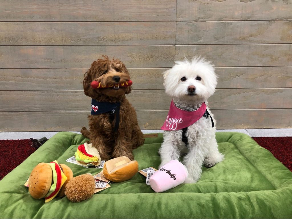 The 8 Hottest New Dog Products Will Make Your Life Easier (and Cuter ...