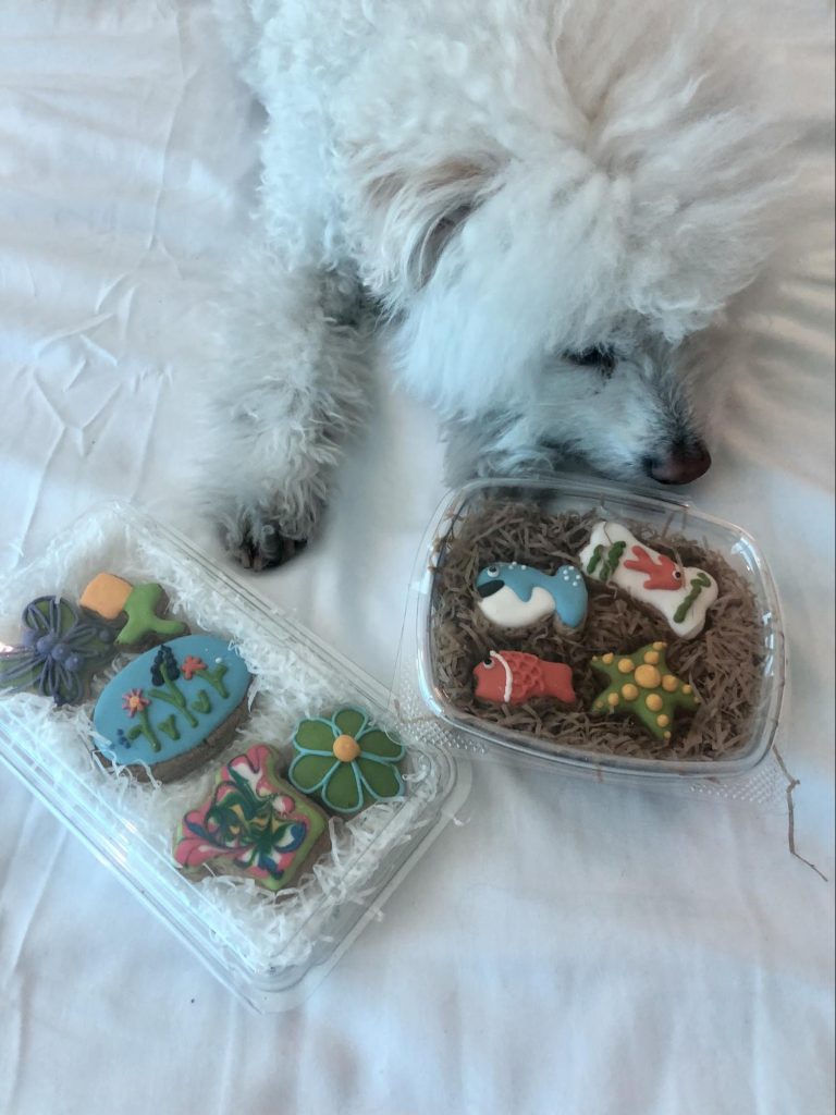 The 8 Hottest New Dog Products Will Make Your Life Easier (and Cuter ...