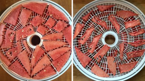 Make These Watermelon Jerky Dog Treats so Your Pup Can Taste Summer All ...