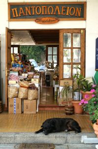 Greek Dog Names | The Best Greek Dog Names