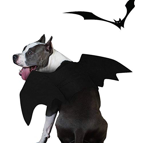 Scary Dog Costumes | 7 Scary Dog Costumes for Your Spooky Pooch