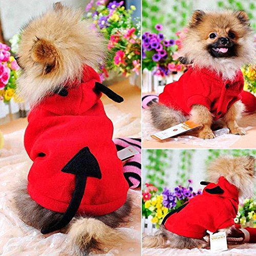 Scary Dog Costumes | 7 Scary Dog Costumes for Your Spooky Pooch