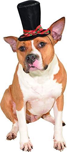 Dog Photo Shoot Props | All You Need for a Great Holiday Photo Shoot