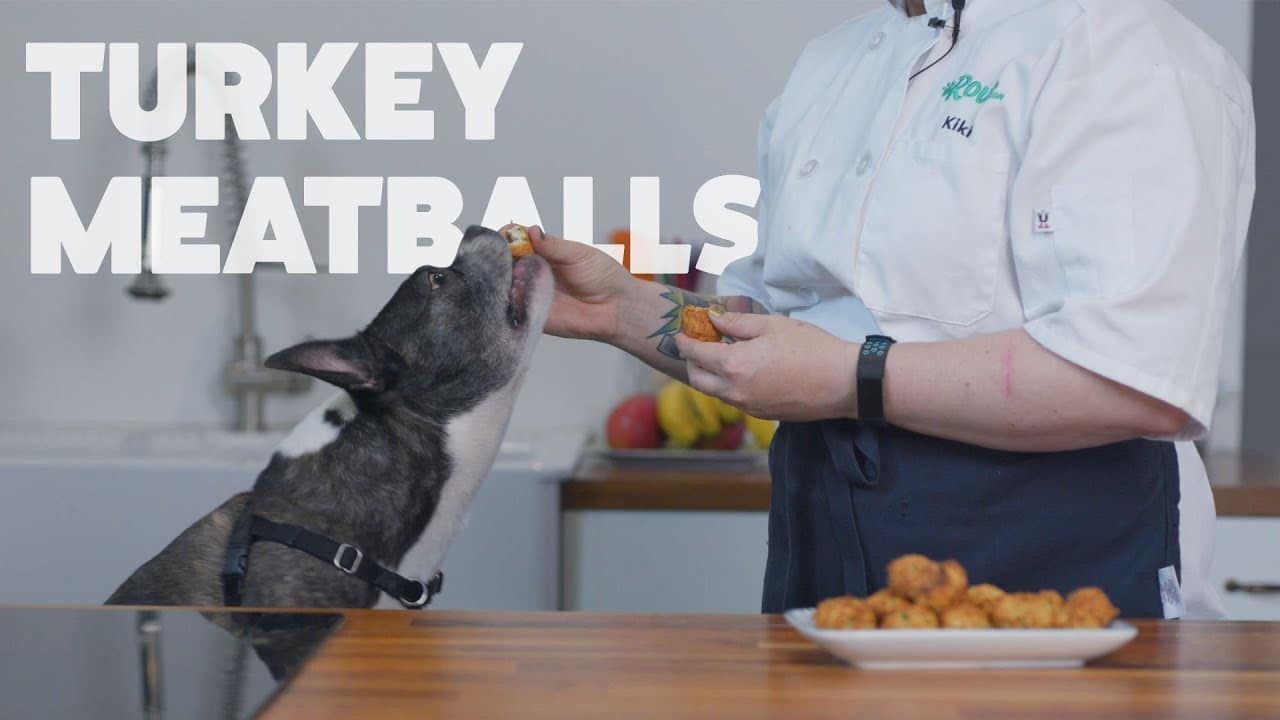 How to Turn Leftover Turkey Into Tasty Meatballs for Dogs [Recipe ...