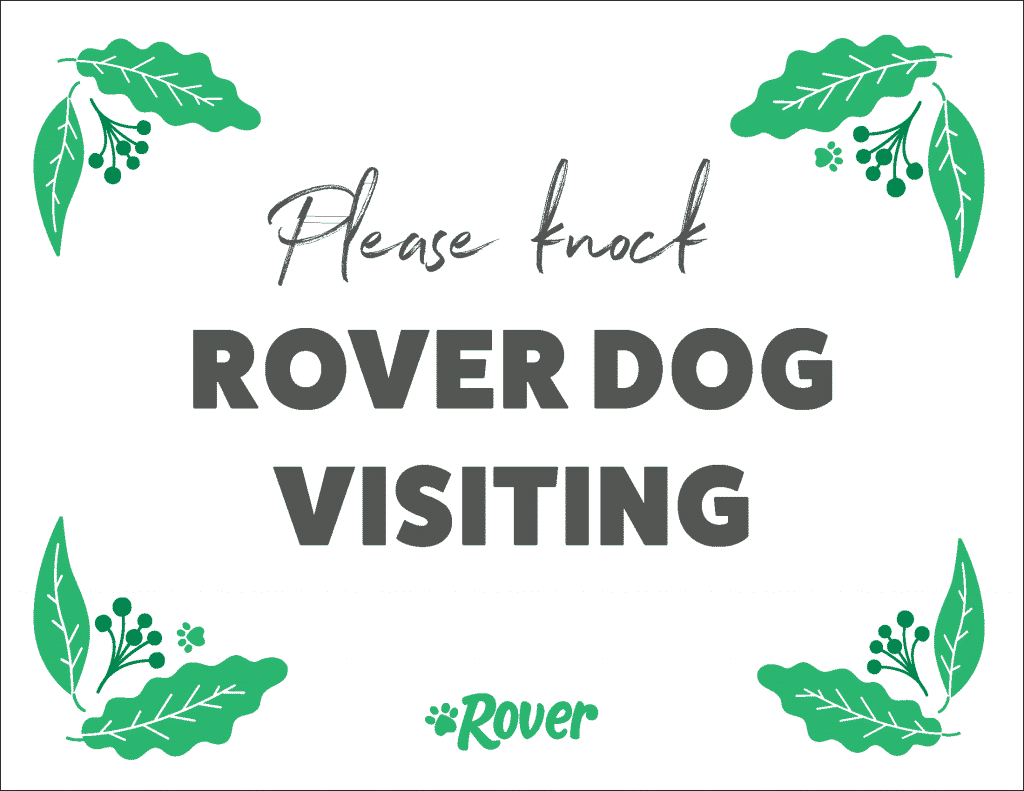 'Please Knock' Door Sign for Rover Sitters [Printable Image] | The Dog ...