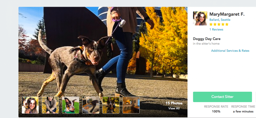 Improve Your Pet Sitting Profile with these Tips | The Dog People by ...
