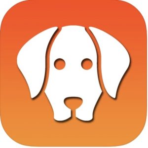 Dog App | The Best Dog Apps for Pet Parents to Use