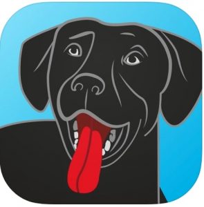 The 11 Best Dog Apps for a Happy & Healthy Pup