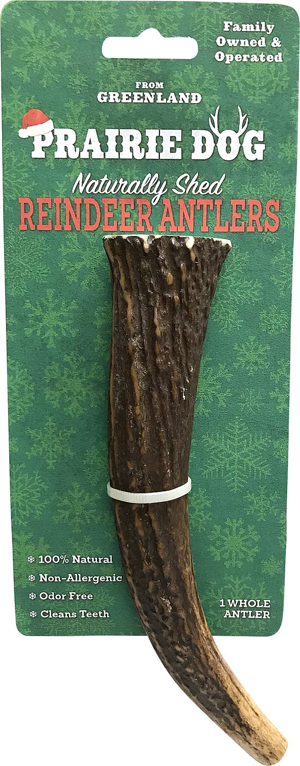 The 17 Best Dog Christmas Deals on Chewy This Year | The Dog People by ...