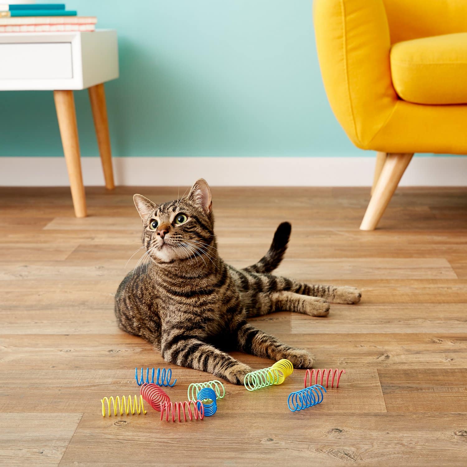 The Best Kitten Toys for Playful Kittens | Our Top Kitten Toy Picks