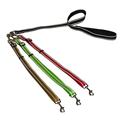 The Best Three-Dog Leashes for 2019 | The Dog People by Rover.com