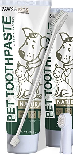 10 Best Dog Toothpastes to Get Your Dog Ready for a Kiss | The Dog ...