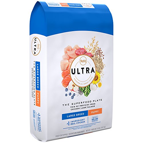 The Best Dog Food for Large Breeds | 11 Large-Breed Dog Food Options