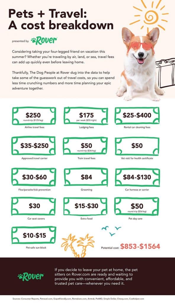 The Real Cost of Traveling with Your Dog | The Dog People by Rover.com