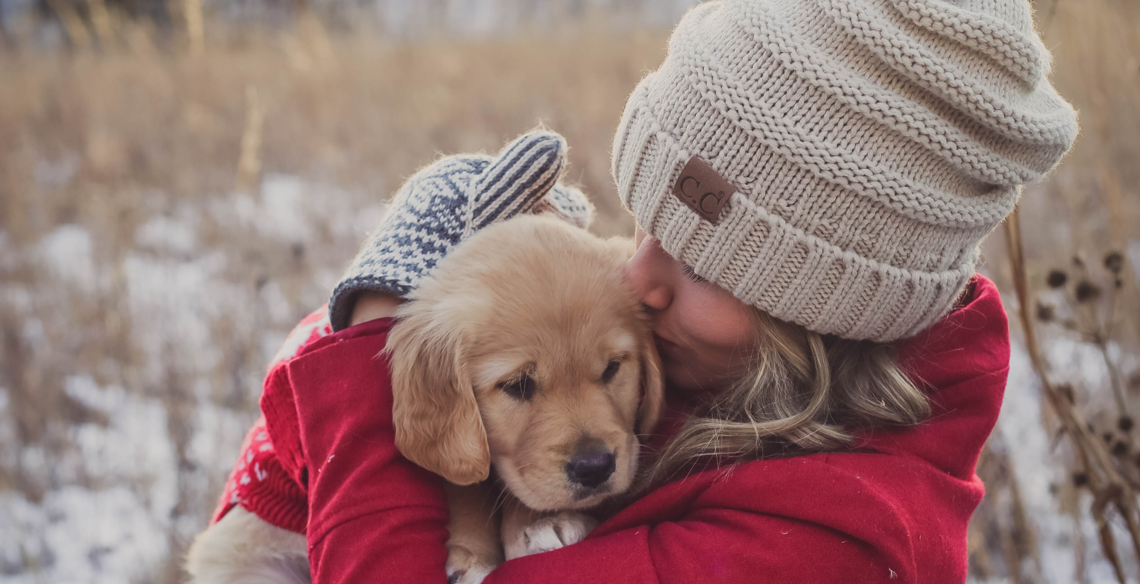 Imágenes Divertidas De Perros Te Amo