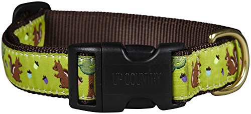 20 Up Country Dog Collars We Love - Dogs Experts