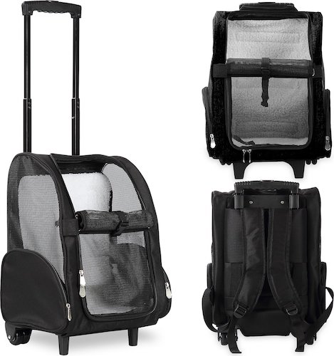 The 10 Best Cat Backpacks for Bringing Your Friend Wherever You Go