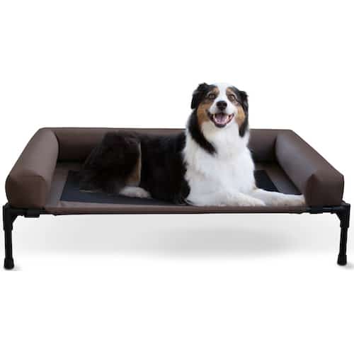 Dog Beds For Pit Bulls | The Perfect Retreat for Your Special Pit Bull