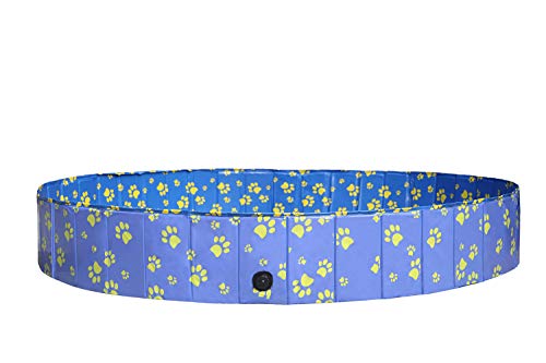 Best Dog Pools and Accessories for 2019 | The Dog People by Rover.com