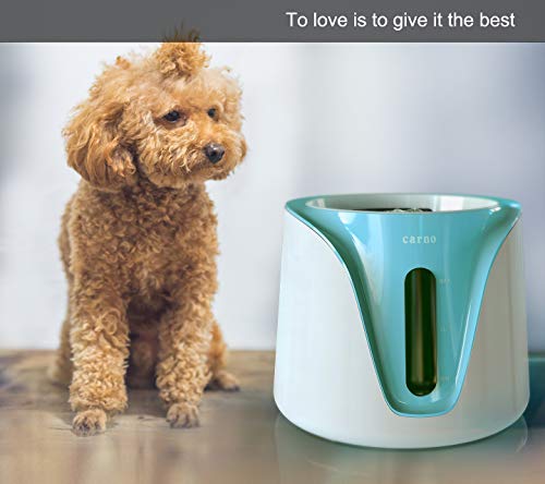 12 Dog Water Fountains | The Best Dog Water Fountains for Your Pup
