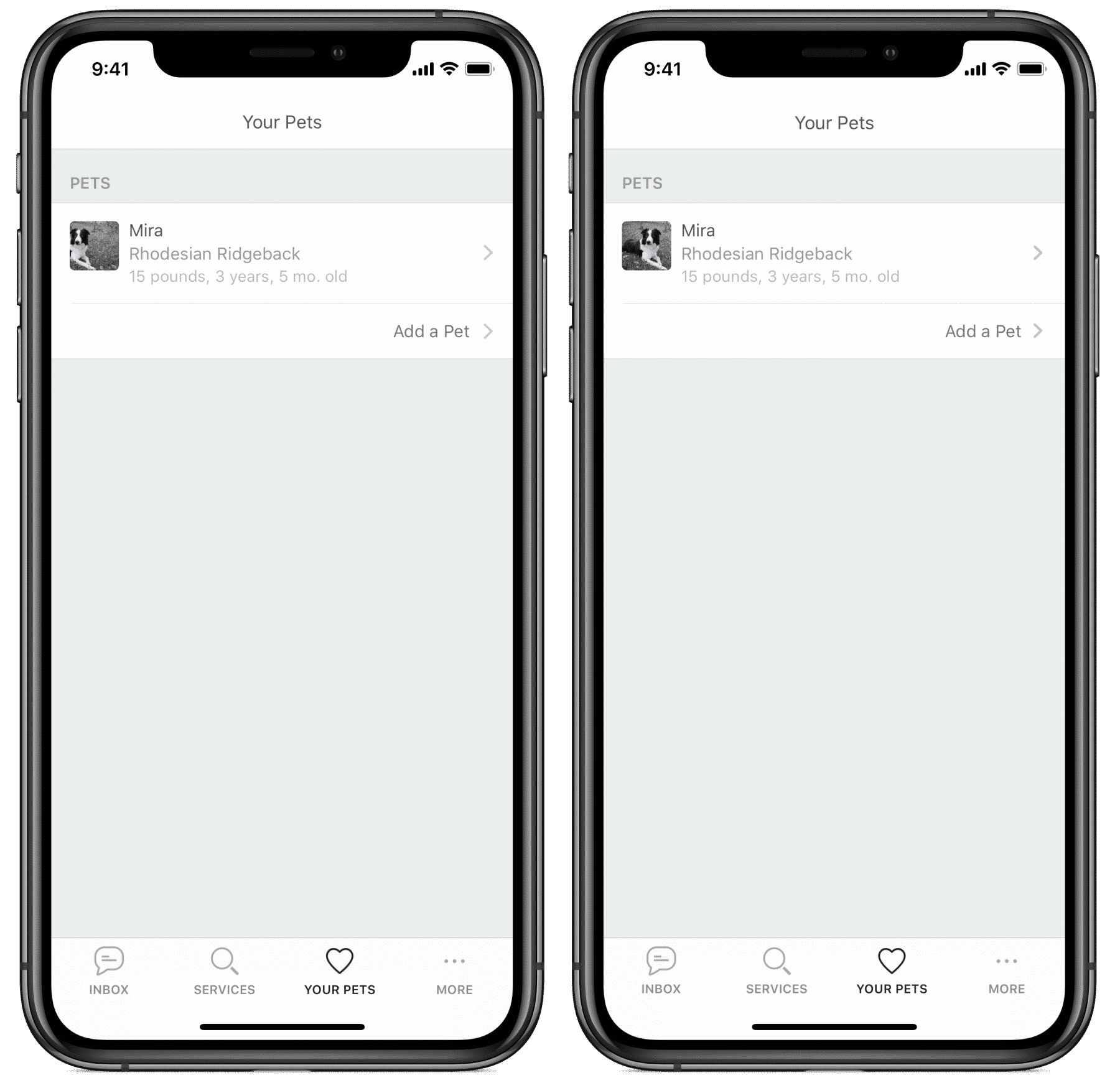 Detecting Pets with the iOS Vision Framework | The Rover Blog