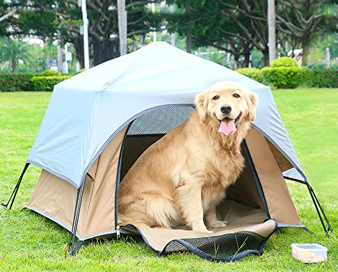 12 Best Dog Tents for Camping with Your Dog in 2019