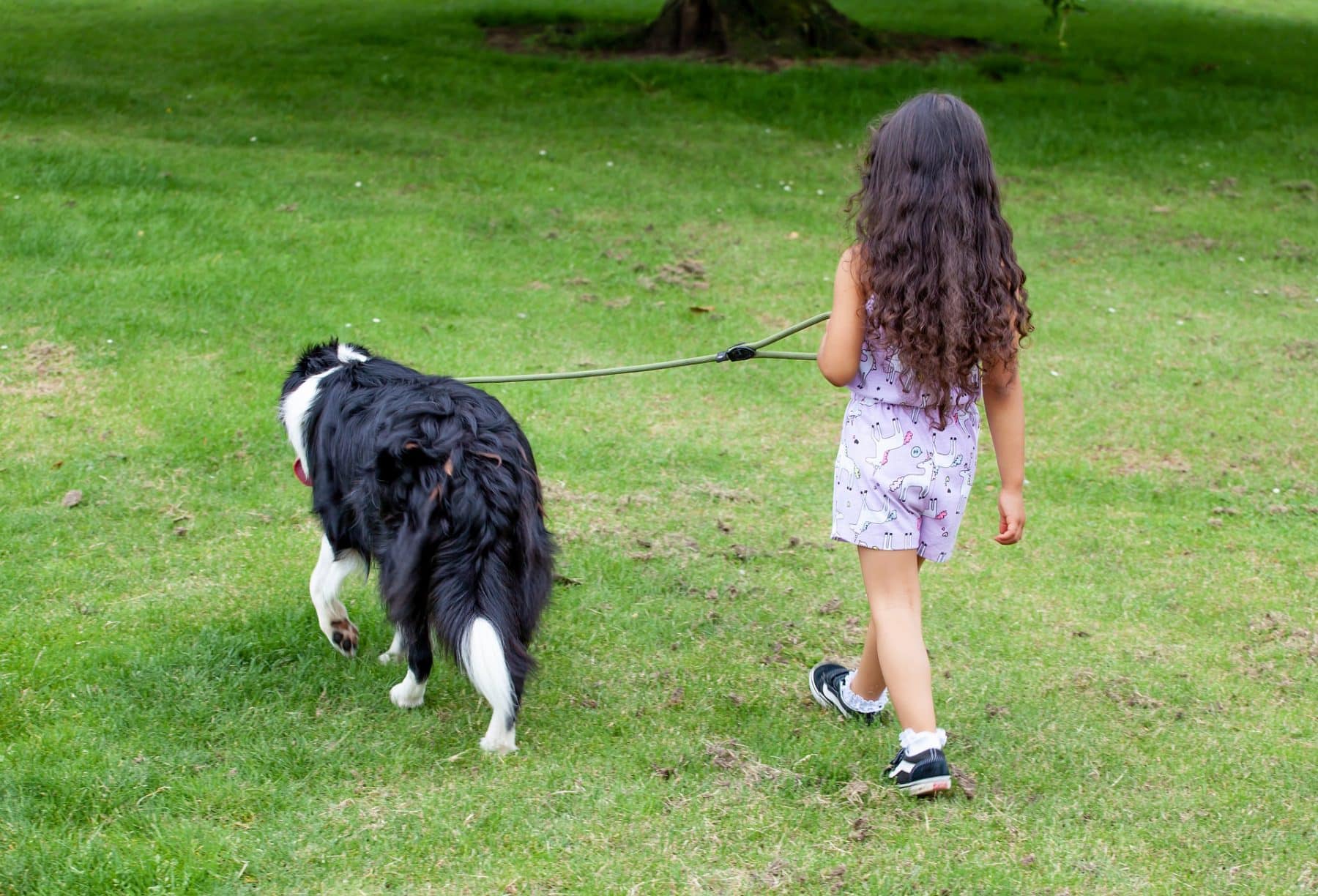 How to Teach Your Kid to Walk the Dog | The Dog People by Rover.com