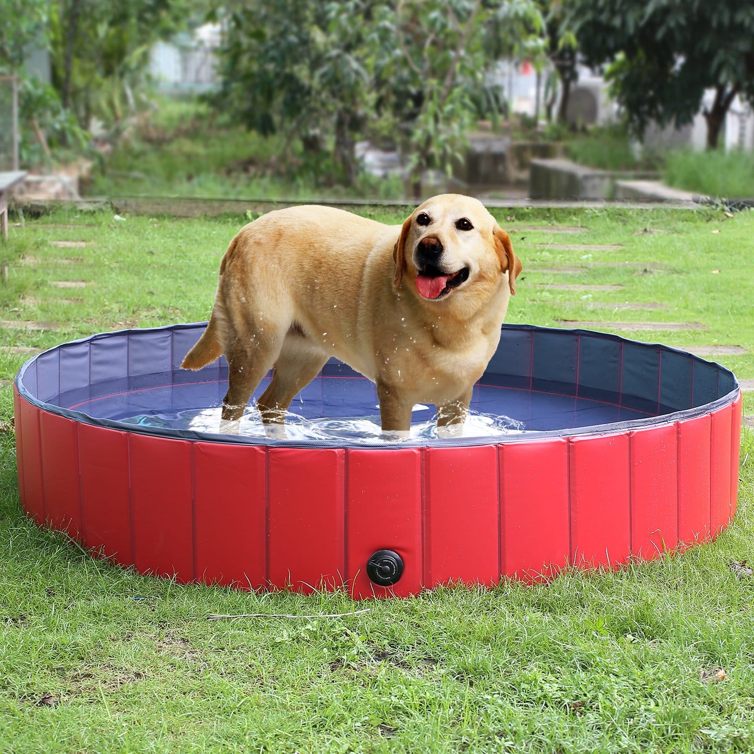 10 Best Dog Pools to Keep Your Pet Cool This Summer (Updated)